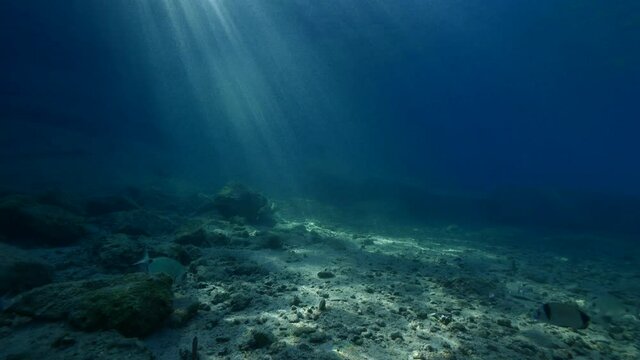 Ocean Scenery Images – Browse 1,357,632 Stock Photos, Vectors, and ...