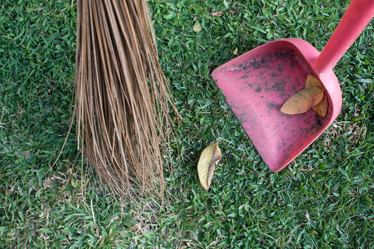 รูปภาพWalis – เลือกดูภาพถ่ายสต็อก เวกเตอร์ และวิดีโอ1,905 | Adobe Stock