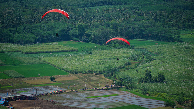 Paralayang Images – Browse 158 Stock Photos, Vectors, and Video | Adobe ...