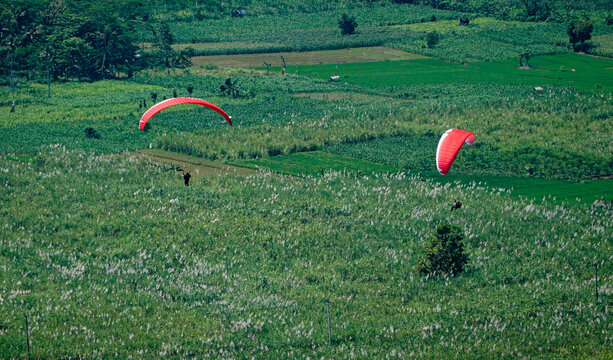 Paralayang Images – Browse 158 Stock Photos, Vectors, and Video | Adobe ...