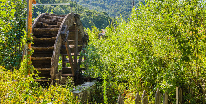 Whee Images – Browse 567 Stock Photos, Vectors, and Video | Adobe Stock