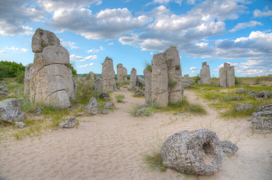 「Kamani」の画像 - 1,475 件の Stock 写真、ベクターおよびビデオ | Adobe Stock