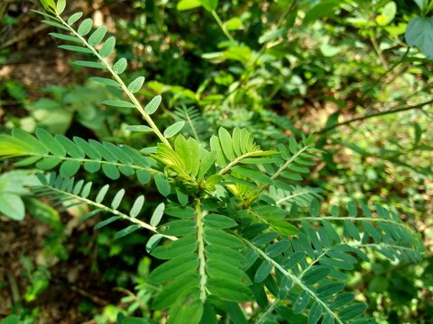รูปภาพStonebreaker – เลือกดูภาพถ่ายสต็อก เวกเตอร์ และวิดีโอ191 | Adobe ...