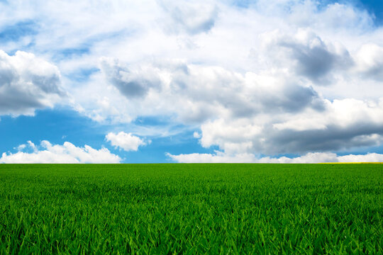 "Feld - Images et vidéos libres de droits | Adobe Stock