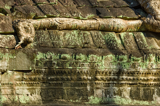 Spung bilder – Bläddra bland 545 stockfoton, vektorer och videor ...