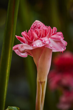 Ekvator Bilder – Durchsuchen 84 Archivfotos, Vektorgrafiken und Videos ...