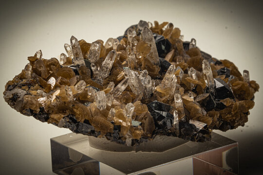 รูปภาพCawk – เลือกดูภาพถ่ายสต็อก เวกเตอร์ และวิดีโอ1,597 | Adobe Stock