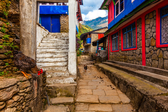 รูปภาพLandruk – เลือกดูภาพถ่ายสต็อก เวกเตอร์ และวิดีโอ113 | Adobe Stock