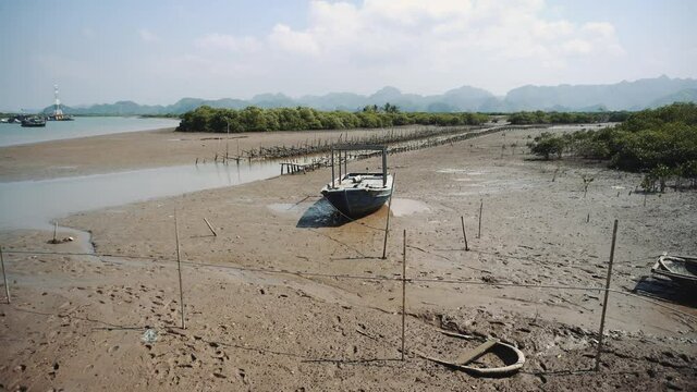 Catinga Images – Browse 84 Stock Photos, Vectors, and Video | Adobe Stock