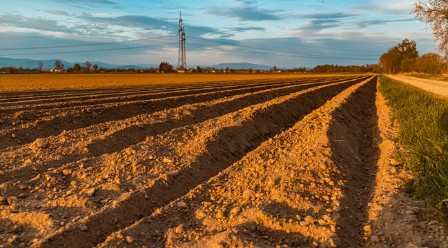 Ackerfurchen Bilder – Durchsuchen 42,396 Archivfotos, Vektorgrafiken ...