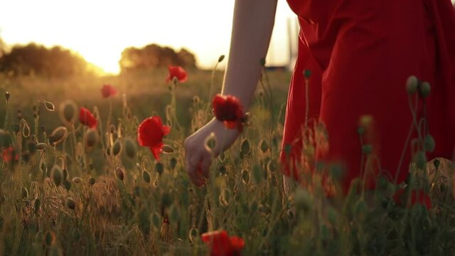 Person Sniffing Images – Browse 200 Stock Photos, Vectors, and Video ...