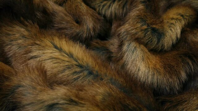 รูปภาพFurs – เลือกดูภาพถ่ายสต็อก เวกเตอร์ และวิดีโอ4,607,164 | Adobe Stock