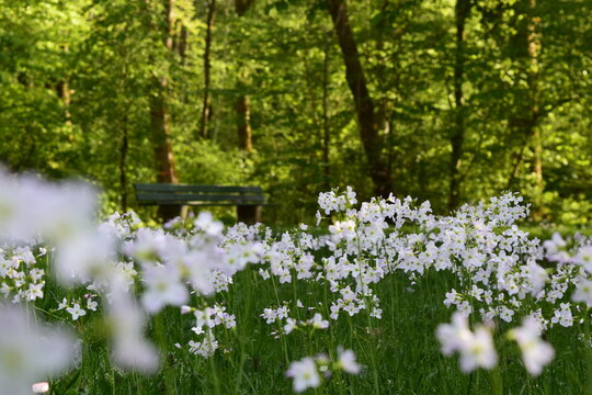 Marg Bilder – Durchsuchen 763 Archivfotos, Vektorgrafiken und Videos ...