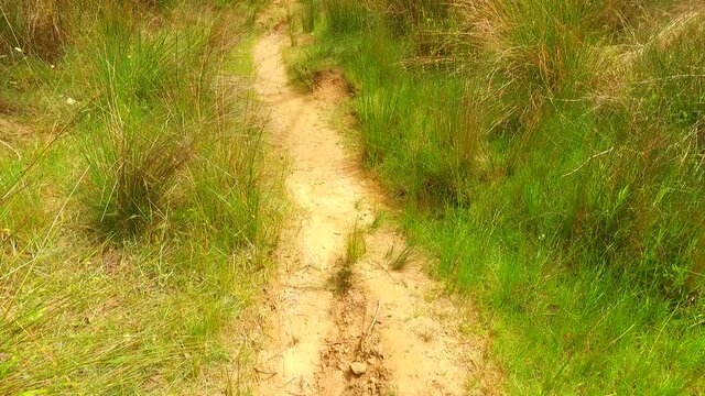 Dangerous Path Images – Browse 51,129 Stock Photos, Vectors, and Video ...