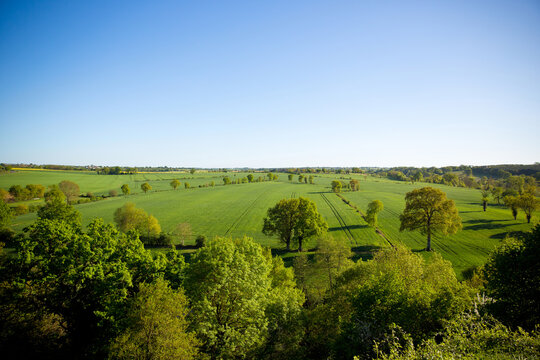 Bocage Images – Browse 45 Stock Photos, Vectors, and Video | Adobe Stock