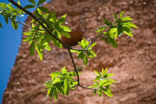 รูปภาพPimpollo – เลือกดูภาพถ่ายสต็อก เวกเตอร์ และวิดีโอ292 | Adobe Stock