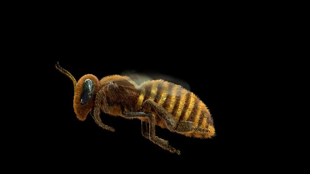 "Chroma Key Background" Images – Browse 4,037 Stock Photos, Vectors ...