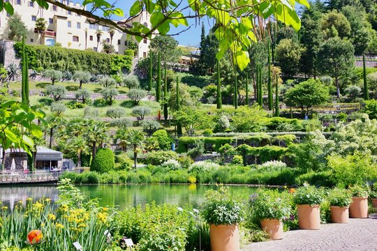 รูปภาพTraut – เลือกดูภาพถ่ายสต็อก เวกเตอร์ และวิดีโอ105 | Adobe Stock