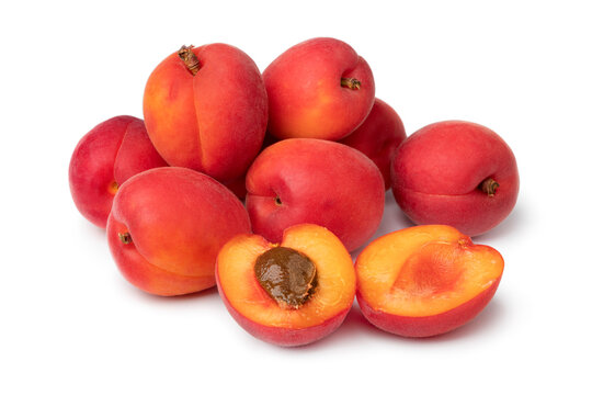 Haf Images – Browse 843 Stock Photos, Vectors, and Video | Adobe Stock