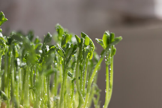 AnnyStudio photos, images, assets | Adobe Stock