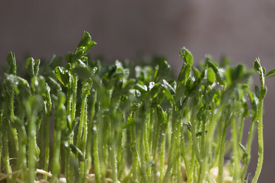 AnnyStudio photos, images, assets | Adobe Stock