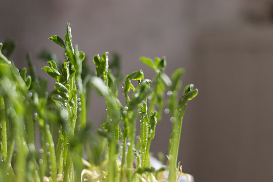 AnnyStudio photos, images, assets | Adobe Stock