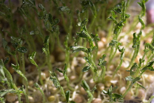 AnnyStudio photos, images, assets | Adobe Stock