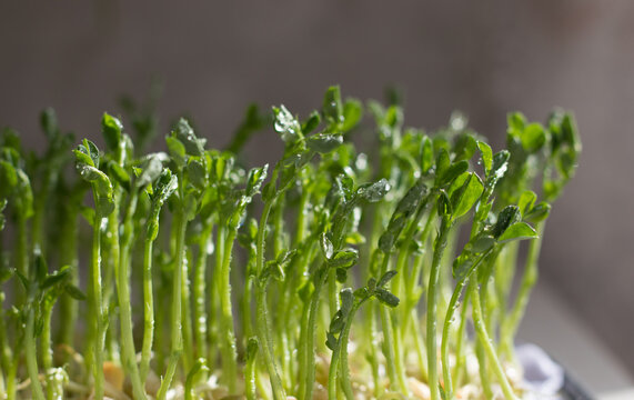 AnnyStudio photos, images, assets | Adobe Stock