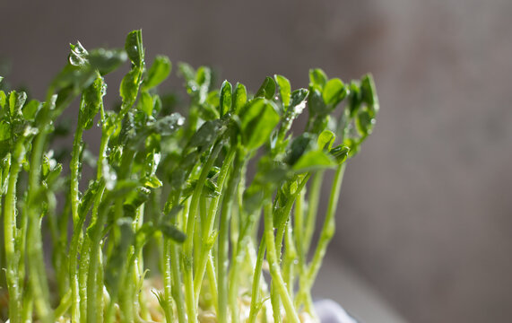 AnnyStudio photos, images, assets | Adobe Stock