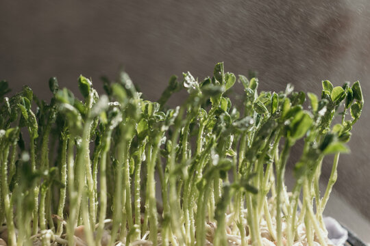 AnnyStudio photos, images, assets | Adobe Stock