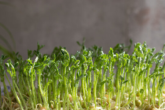 AnnyStudio photos, images, assets | Adobe Stock