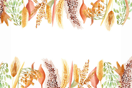 Millets Banner Images – Browse 637 Stock Photos, Vectors, and Video ...