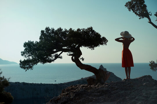 Egor Mayer photos, images, assets | Adobe Stock