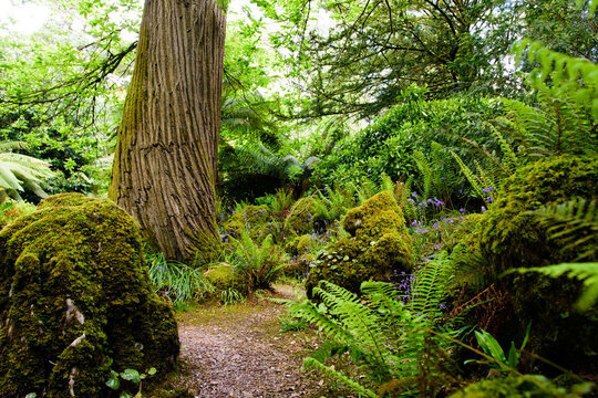 Fota Images – Browse 214 Stock Photos, Vectors, and Video | Adobe Stock