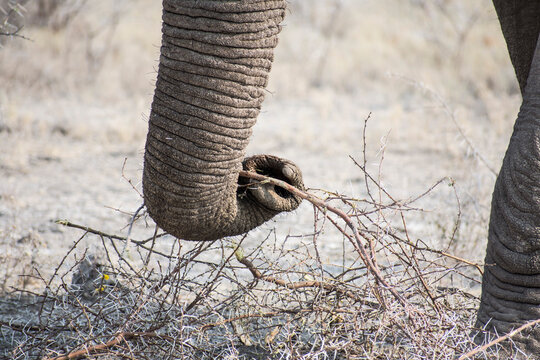 「Gfghf」の写真素材 | 2件の無料イラスト画像 | Adobe Stock