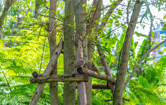 รูปภาพKurokutok – เลือกดูภาพถ่ายสต็อก เวกเตอร์ และวิดีโอ1,546 | Adobe Stock