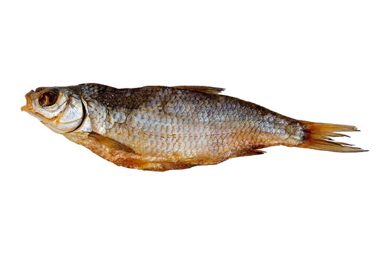 Jaadi Bilder – Durchsuchen 218 Archivfotos, Vektorgrafiken und Videos ...