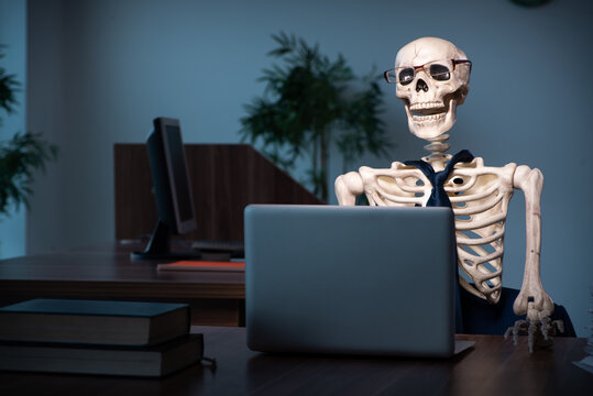 Skeleton Sitting On Computer
