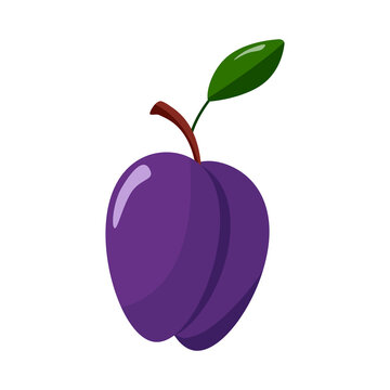 "Plum Icon" Images – Browse 100 Stock Photos, Vectors, and Video ...