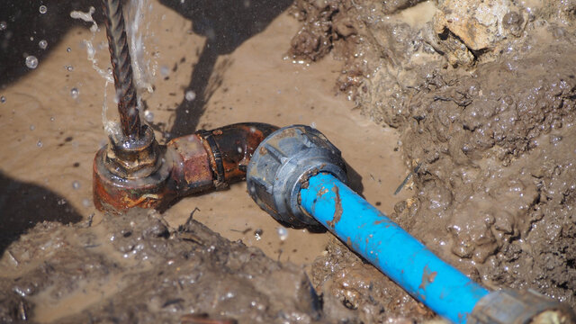 Ferrule Images – Browse 1,678 Stock Photos, Vectors, and Video | Adobe ...