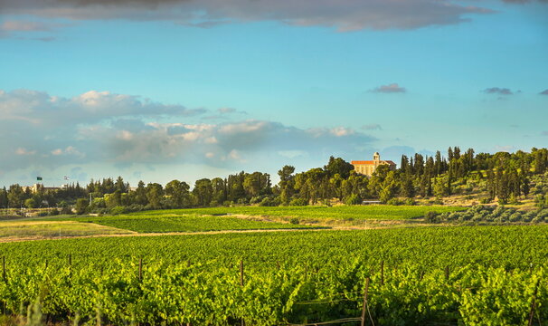 La-Shiryon Images – Browse 59 Stock Photos, Vectors, and Video | Adobe ...