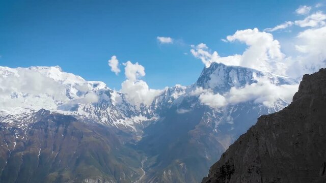 "Torong Images – Browse 102 Stock Photos, Vectors, and Video | Adobe Stock