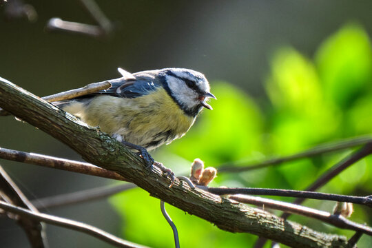 Syn bilder – Bläddra bland 4,342 stockfoton, vektorer och videor ...