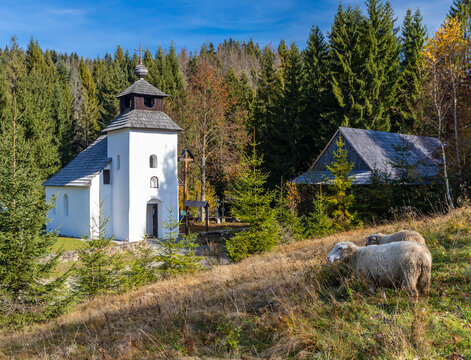 Kysuce Bilder – Durchsuchen 575 Archivfotos, Vektorgrafiken und Videos ...