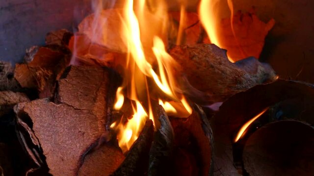 "Coconut Shell" Images – Browse 6,885 Stock Photos, Vectors, and Video ...