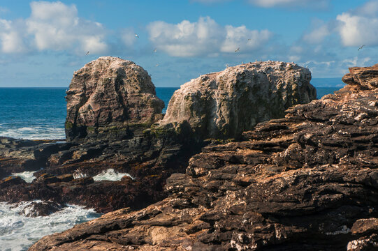 รูปภาพRocas – เลือกดูภาพถ่ายสต็อก เวกเตอร์ และวิดีโอ40,405 | Adobe Stock