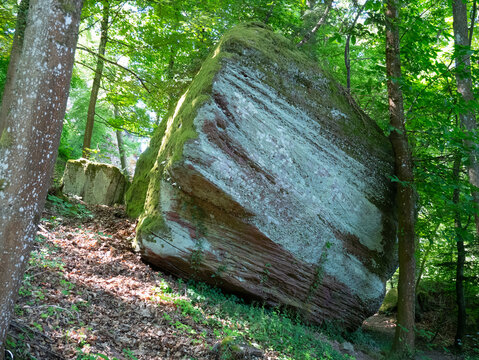 รูปภาพMoignon – เลือกดูภาพถ่ายสต็อก เวกเตอร์ และวิดีโอ704 | Adobe Stock