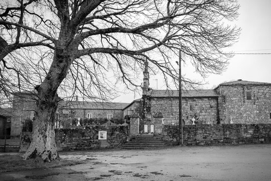 Camba Images – Browse 29 Stock Photos, Vectors, and Video | Adobe Stock