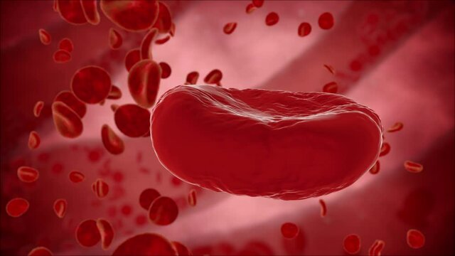 「Eritrocite」の画像 - 21 件の Stock 写真、ベクターおよびビデオ | Adobe Stock