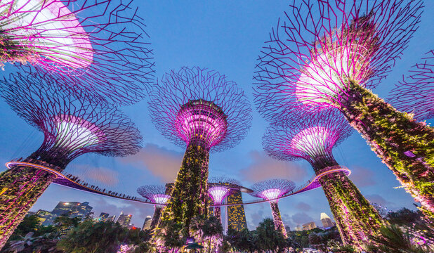 รูปภาพSupertree – เลือกดูภาพถ่ายสต็อก เวกเตอร์ และวิดีโอ4,659 | Adobe Stock